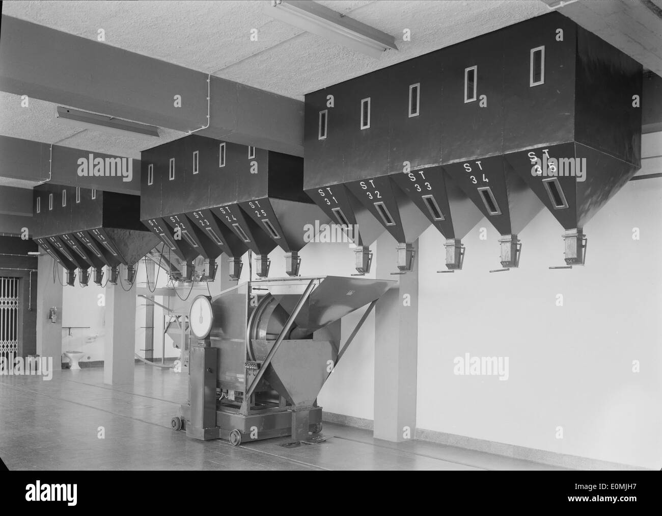 Tofa hi-res stock photography and images - Alamy