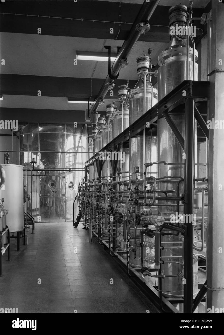 Cafe tofa hi-res stock photography and images - Alamy