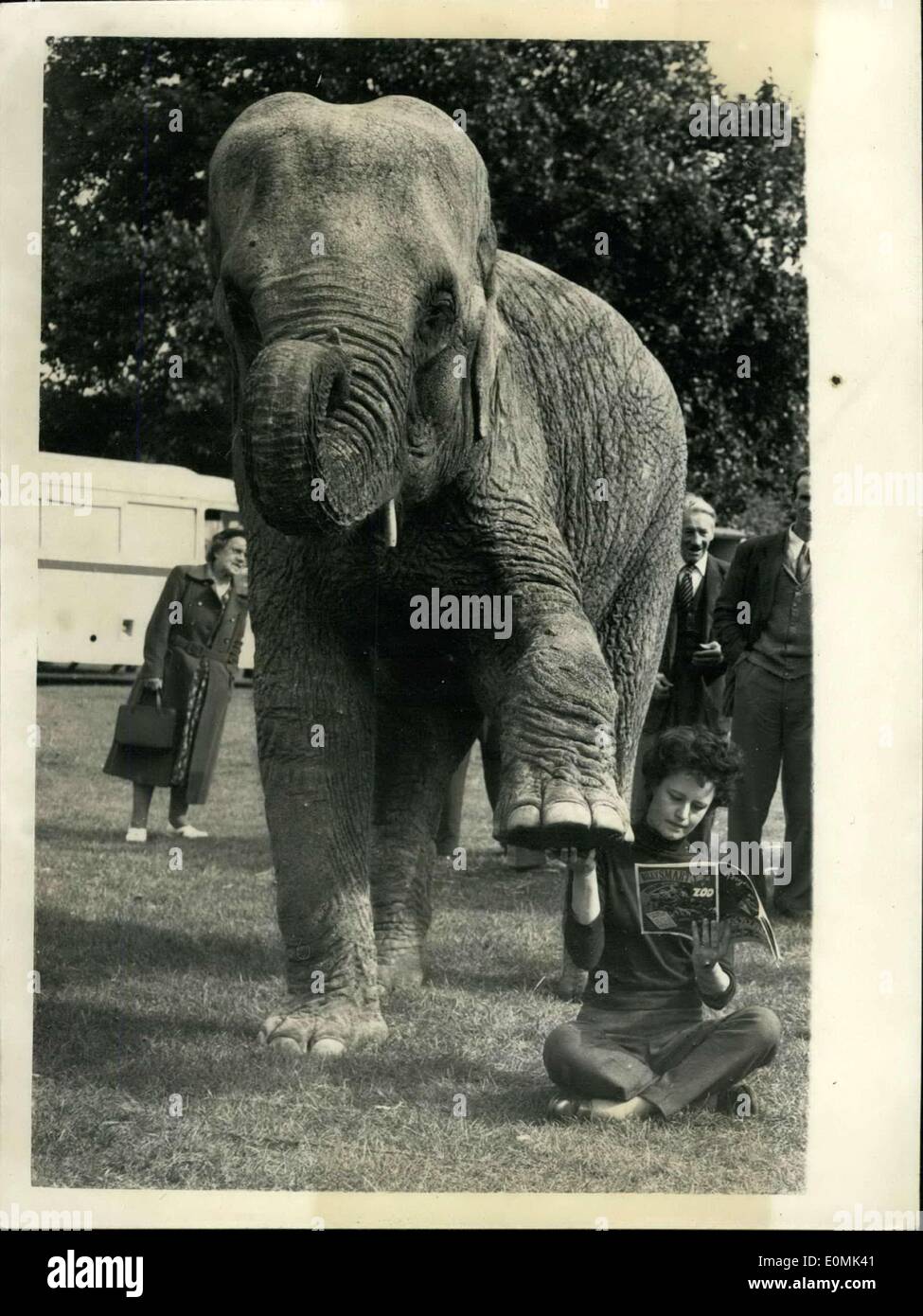 Billy smart circus hi-res stock photography and images - Alamy