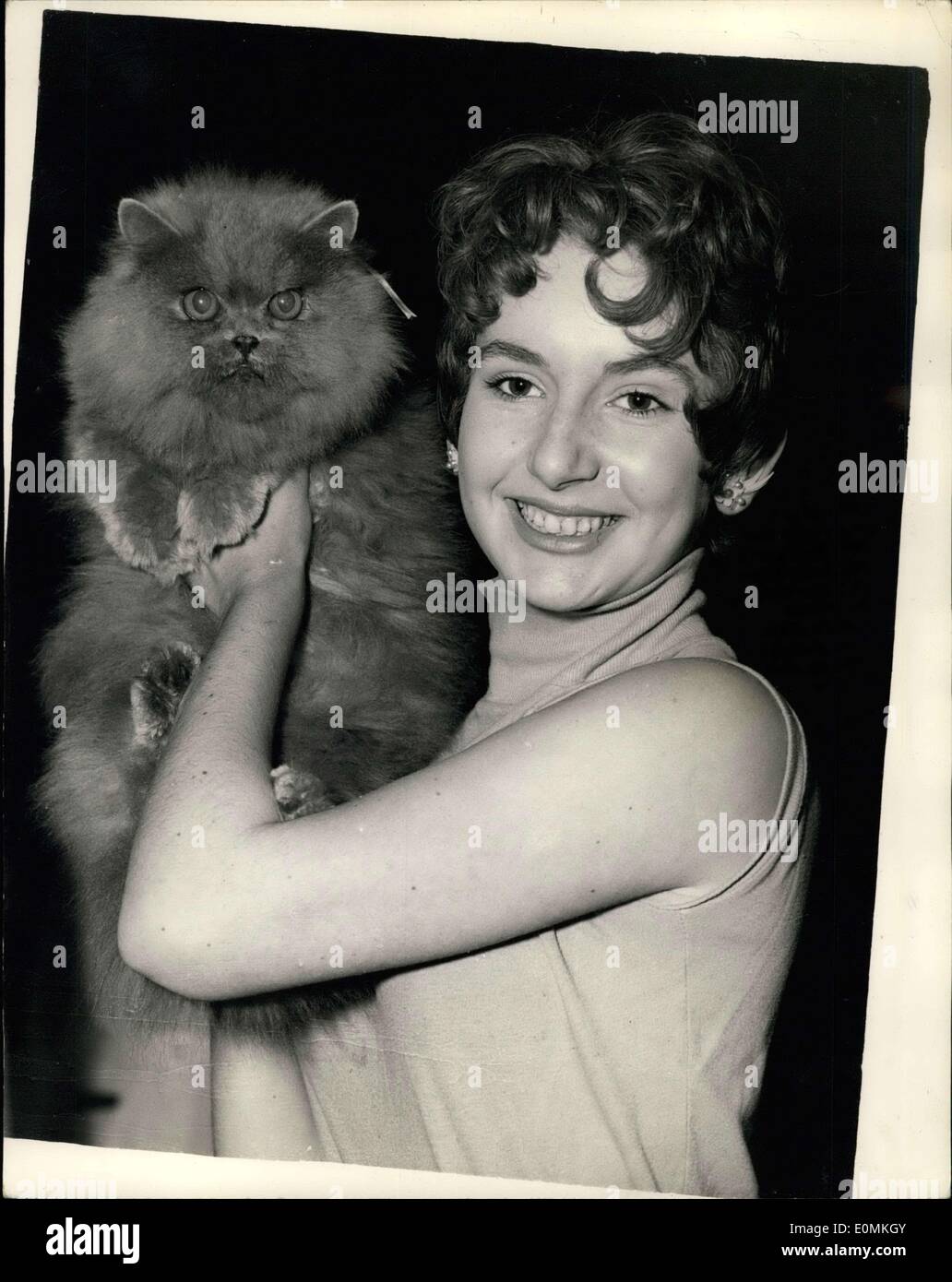 1955 error hi-res stock photography and images - Alamy