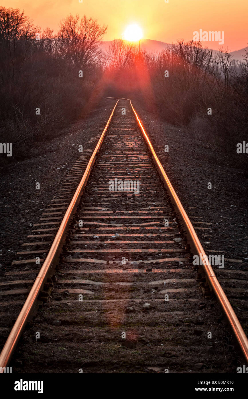Railway in a sunset light Stock Photo - Alamy