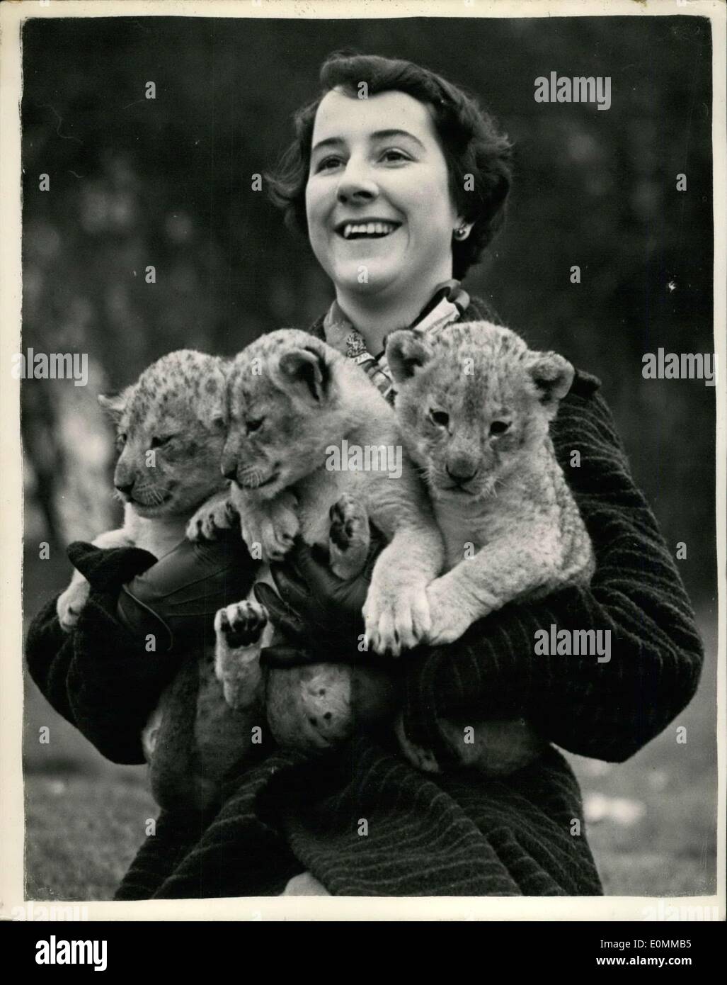Whipsnade new hi-res stock photography and images - Alamy