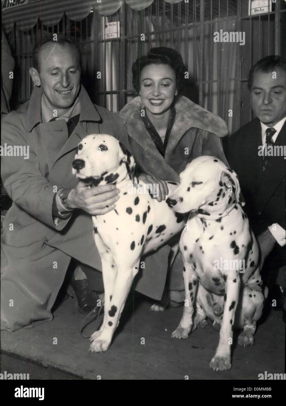 Dec. 03, 1955 - Dog Show Opens In Paris: A Dog Show Is Now Being Held ...