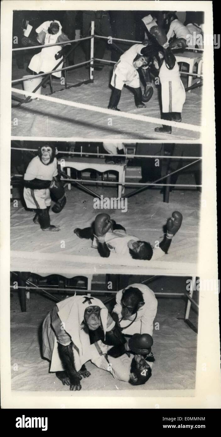 Dec. 12, 1955 - Training Preview of Bertram Mills Circus. A training ...