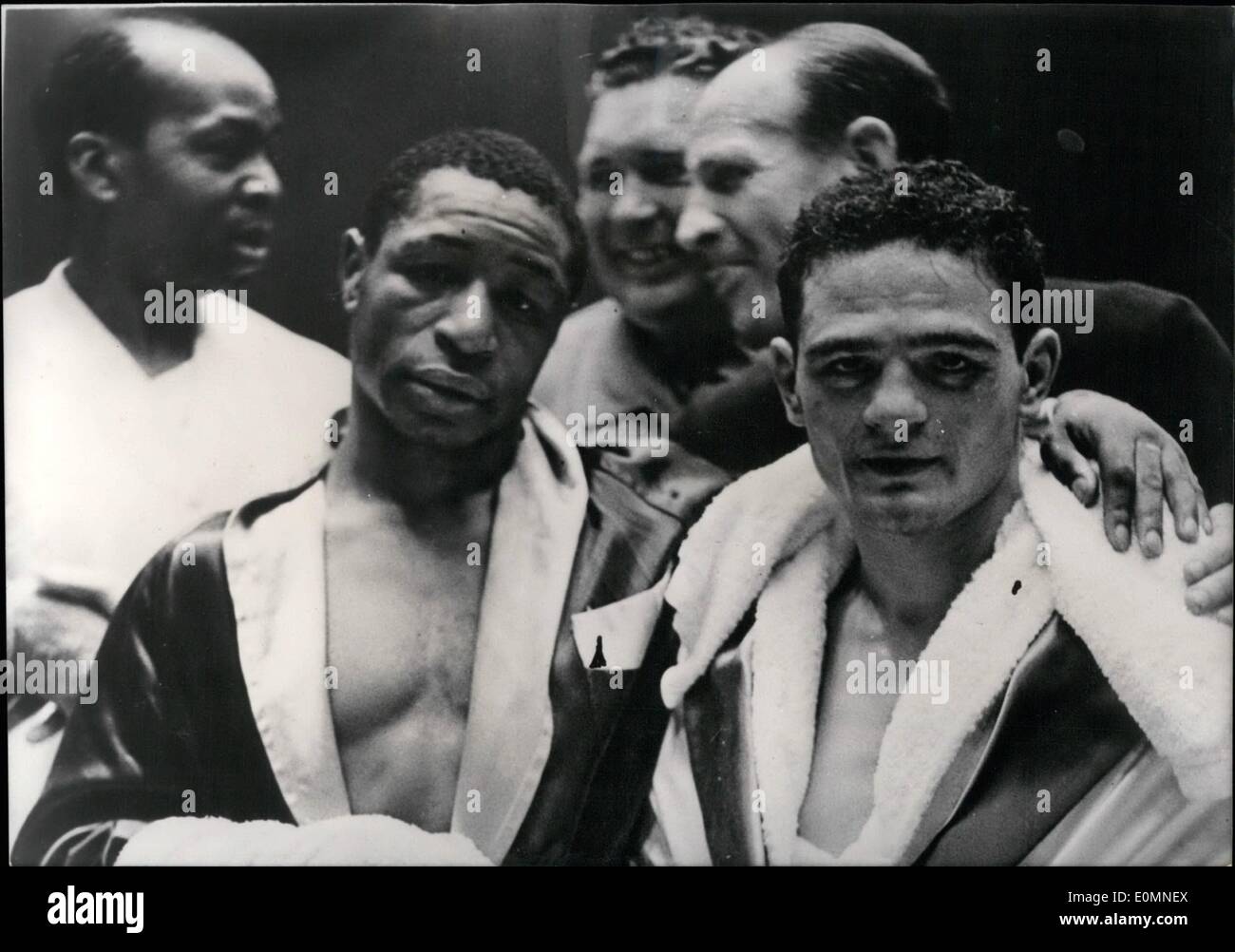 Black and white peacock hi-res stock photography and images - Alamy