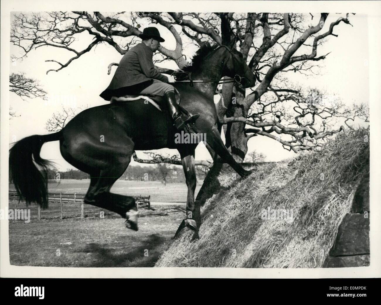 British equestrian hi-res stock photography and images - Alamy
