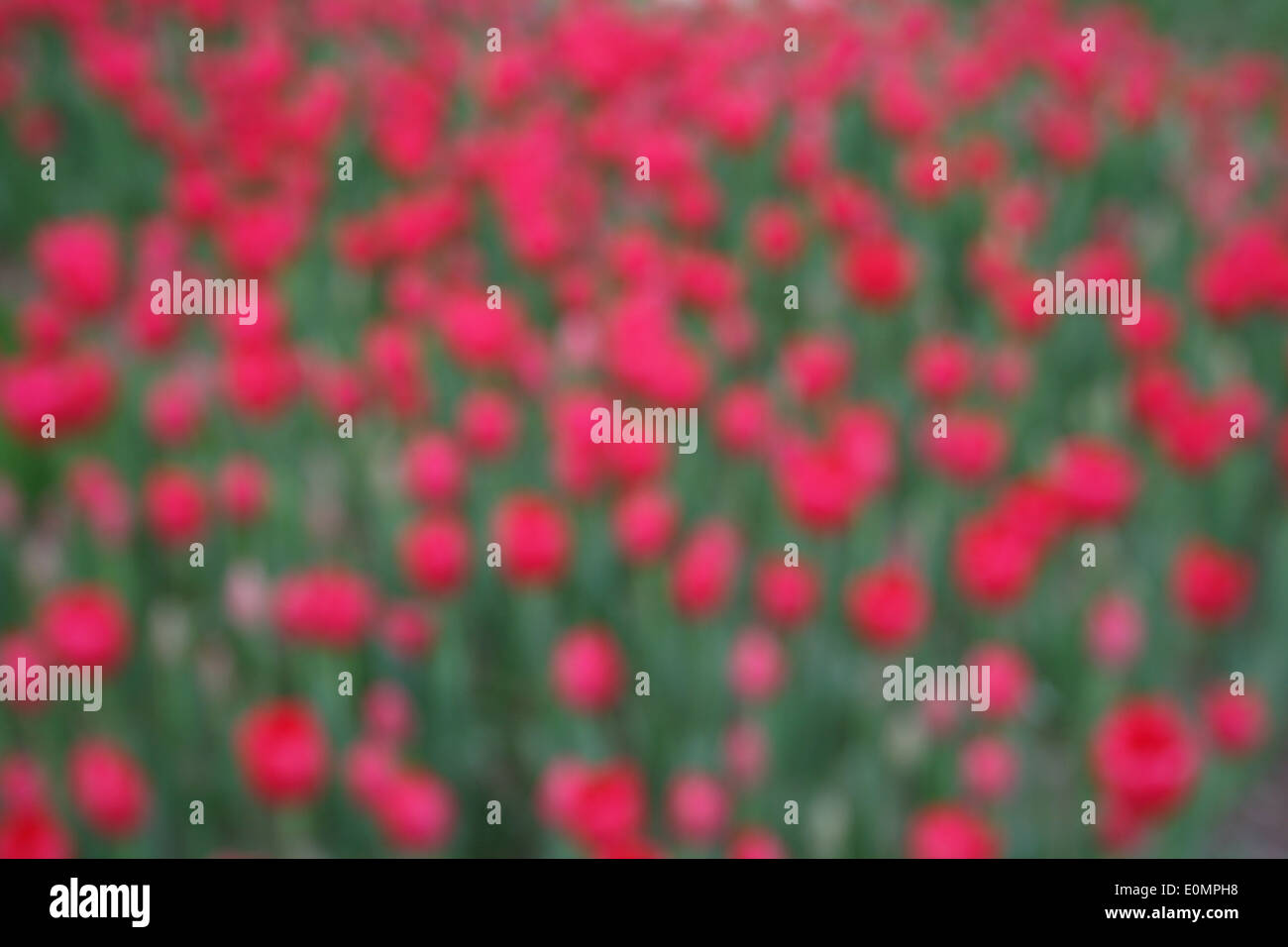 Season backdrop hi-res stock photography and images - Alamy