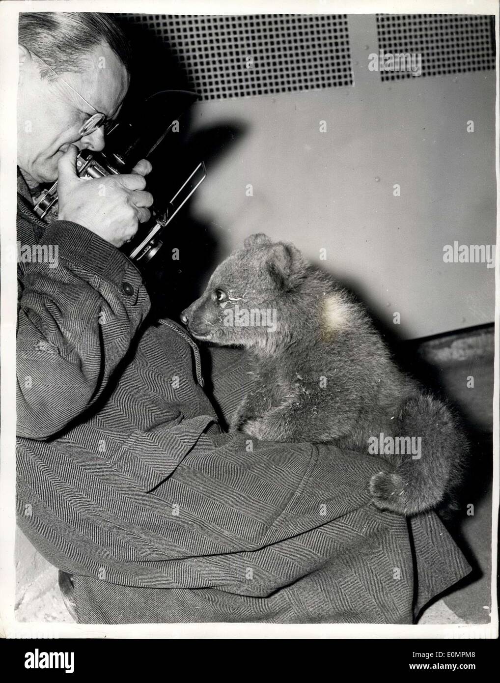 Apr. 23, 1956 - ''Nikki'' Bear Cub Present For Princess Anne From ...