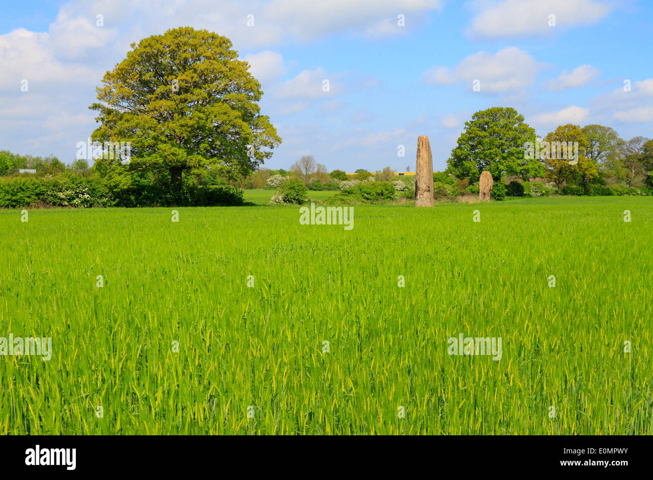 Devil's Arrows, Boroughbridge, North Yorkshire, England, UK Stock Photo ...