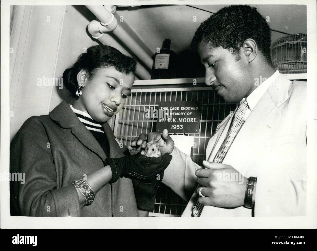 Aug. 08, 1956 - The Prince and Princess from Zanzibar Visit Animal ...