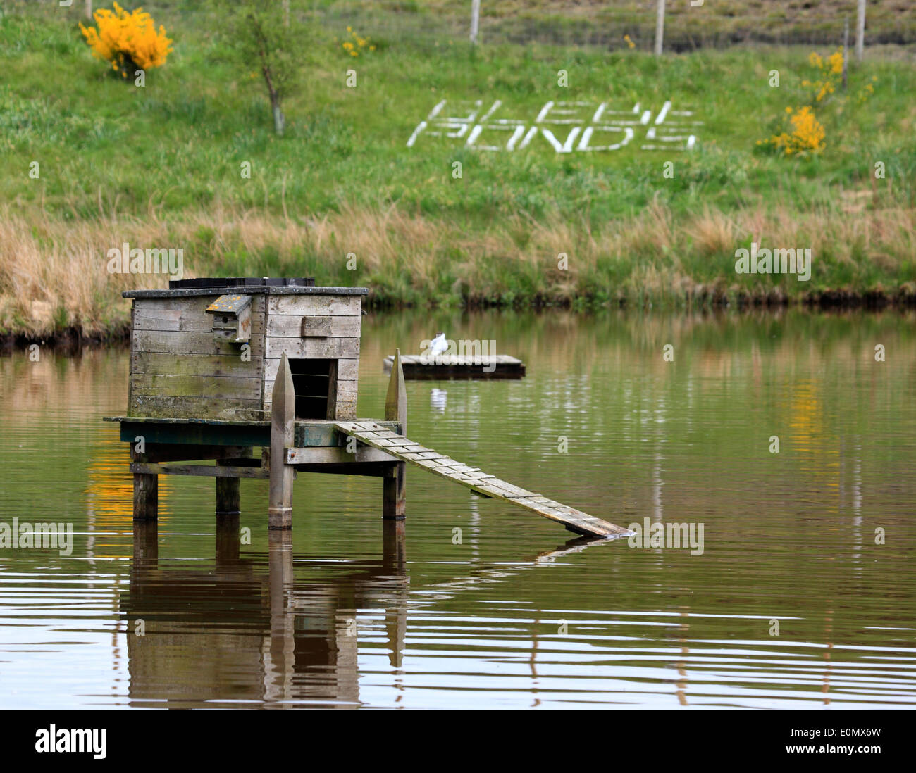 Ponds scotland hi-res stock photography and images - Alamy