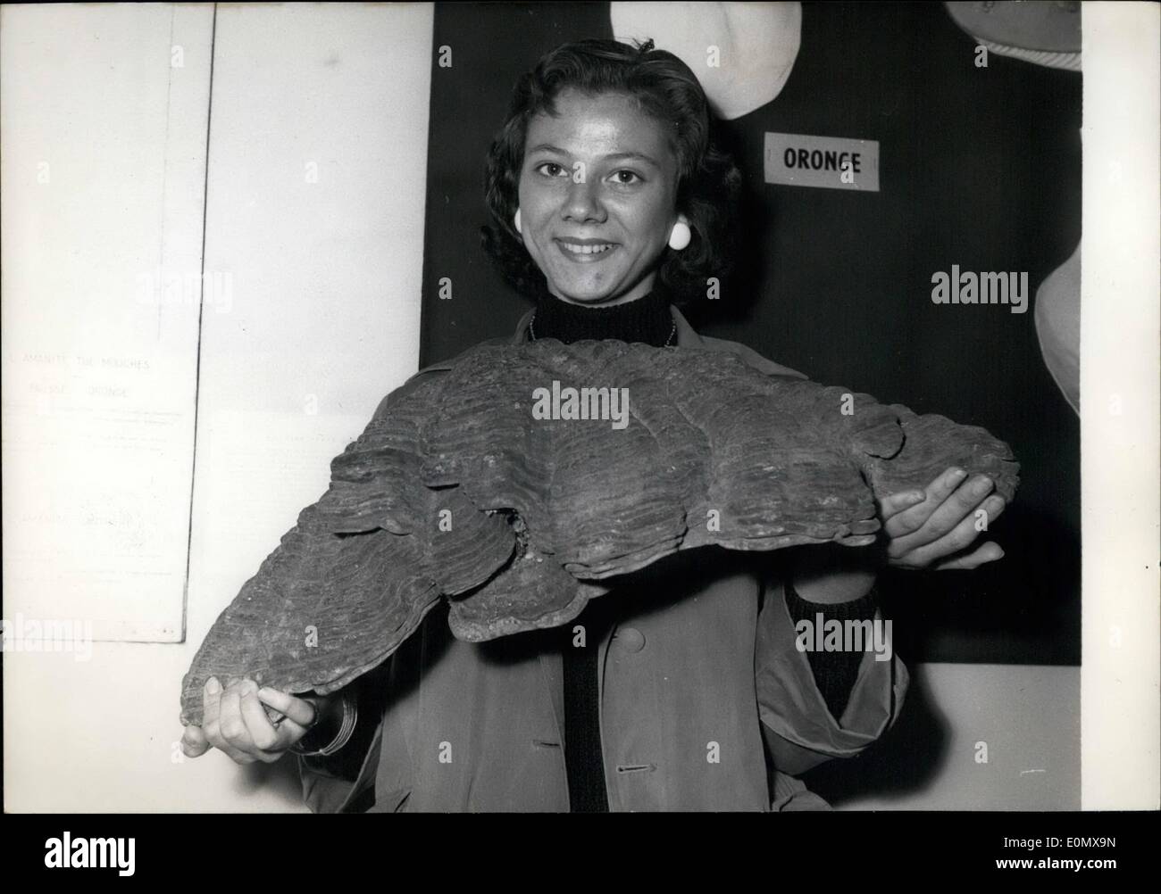 Oct. 10, 1956 - Mushroom show opens in Paris:The annual mushroom show ...