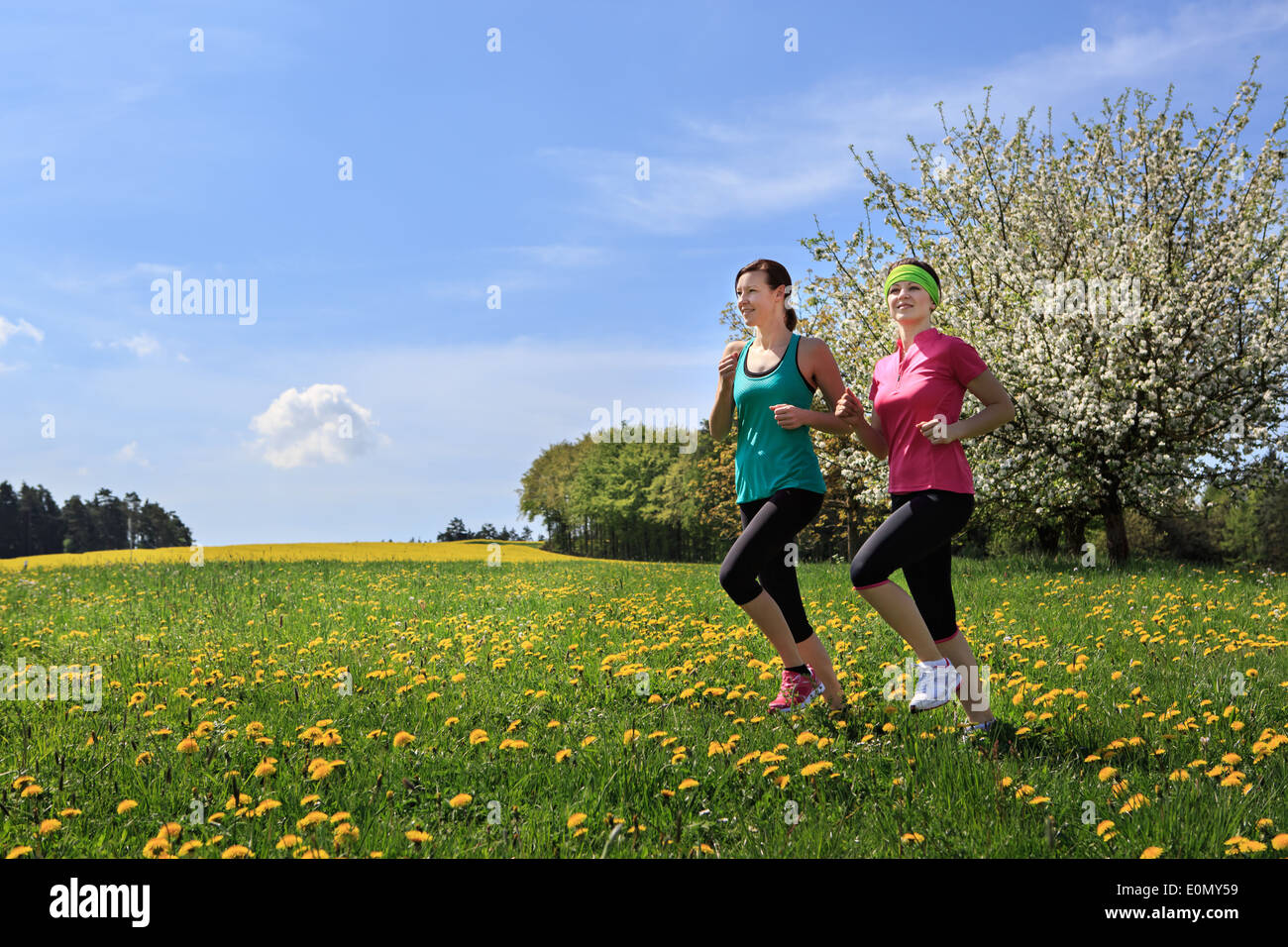 two women jogging through fields at the springtime Stock Photo - Alamy