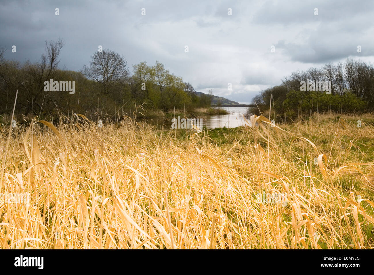 In kinross hi-res stock photography and images - Alamy