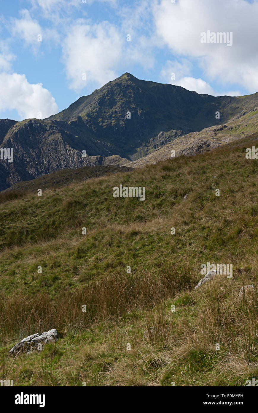 Snowdonia Mountain View with Grass Stock Photo - Alamy