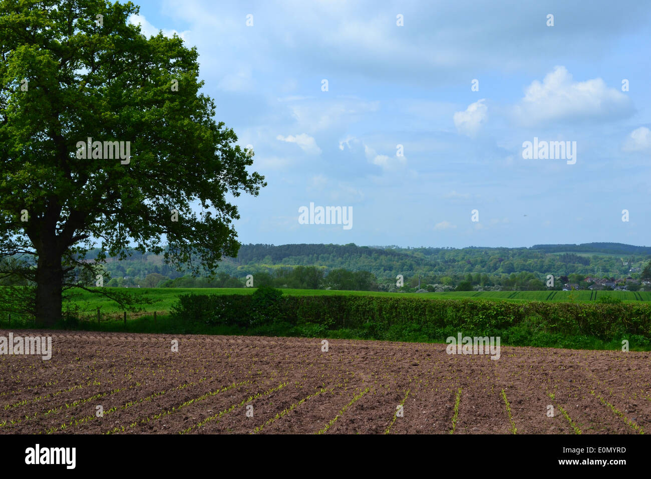 Fields in the countryside hi-res stock photography and images - Alamy
