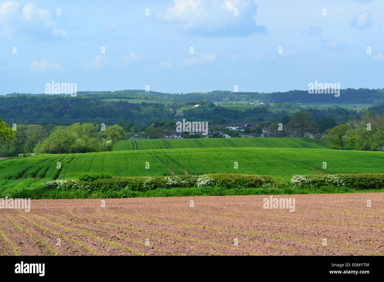 Rolling green fields Stock Photo - Alamy