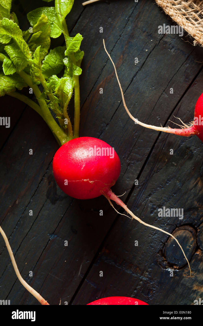 Harvest organic red radish hi-res stock photography and images - Alamy