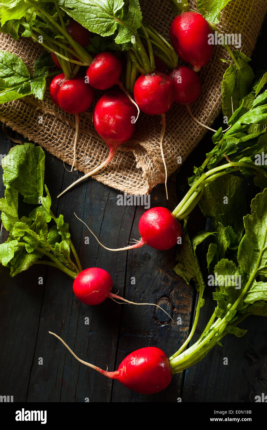 Organic Raw Red Radishes in a bunch Stock Photo - Alamy