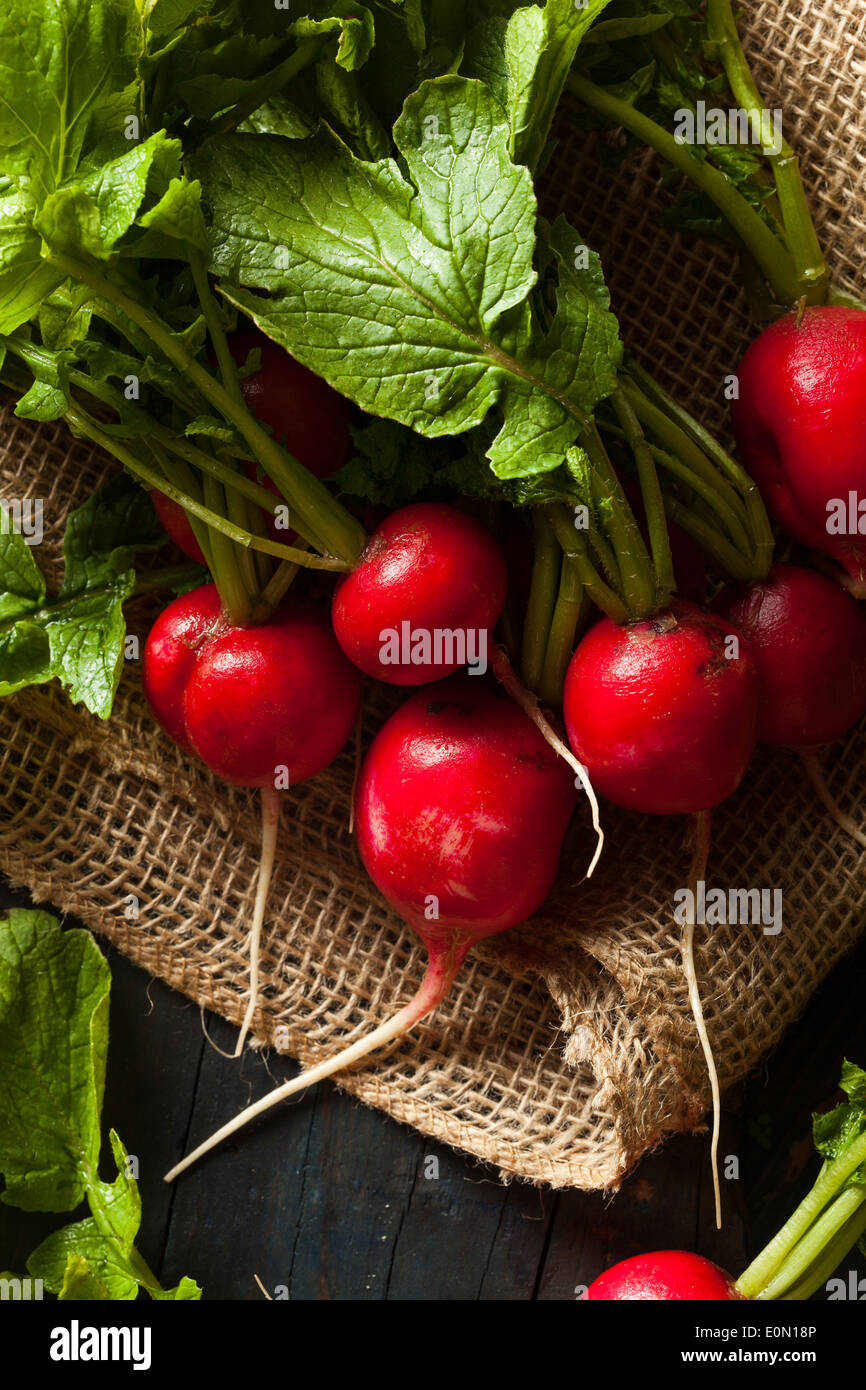 Organic Raw Red Radishes in a bunch Stock Photo - Alamy
