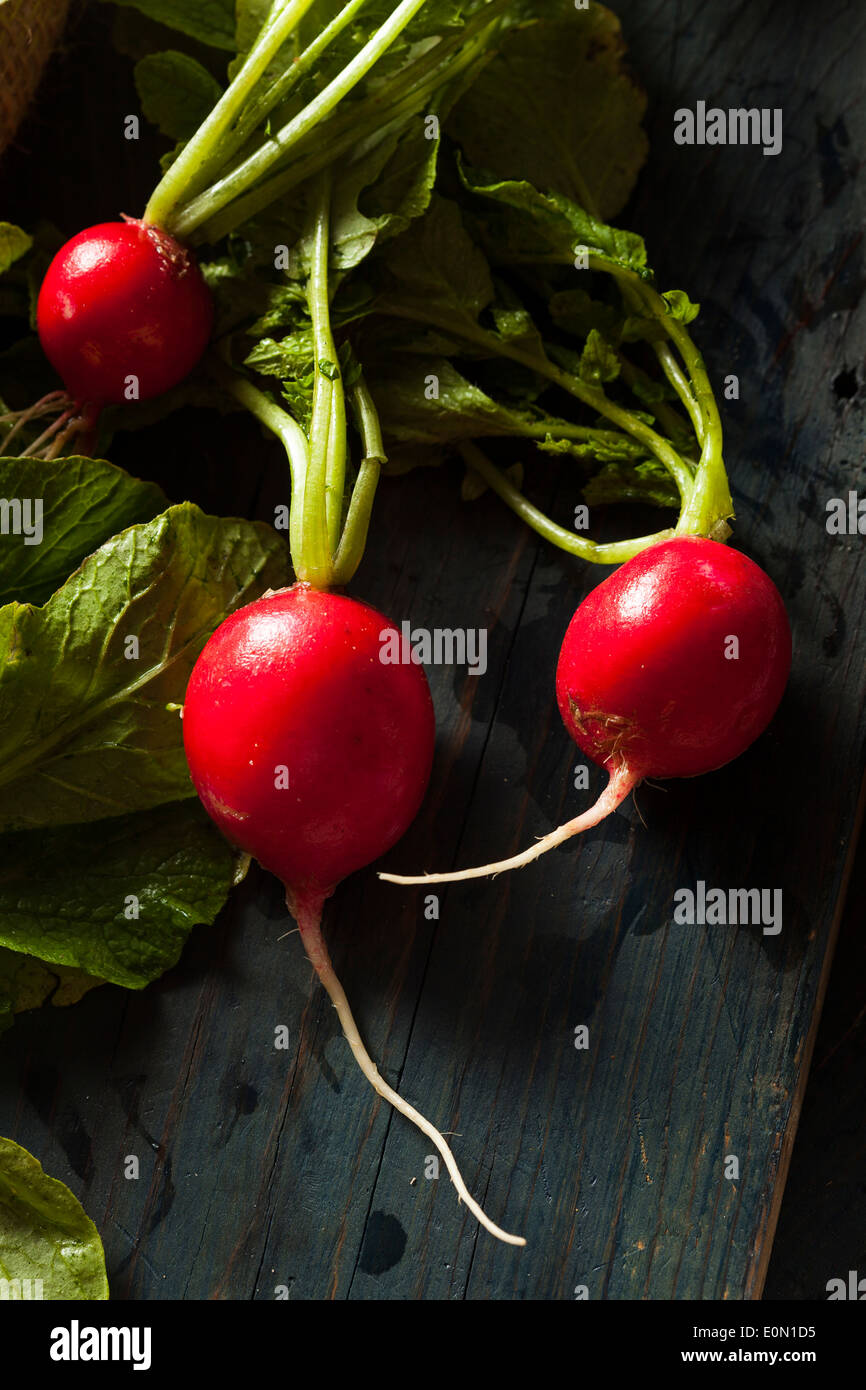 Organic Raw Red Radishes in a bunch Stock Photo - Alamy