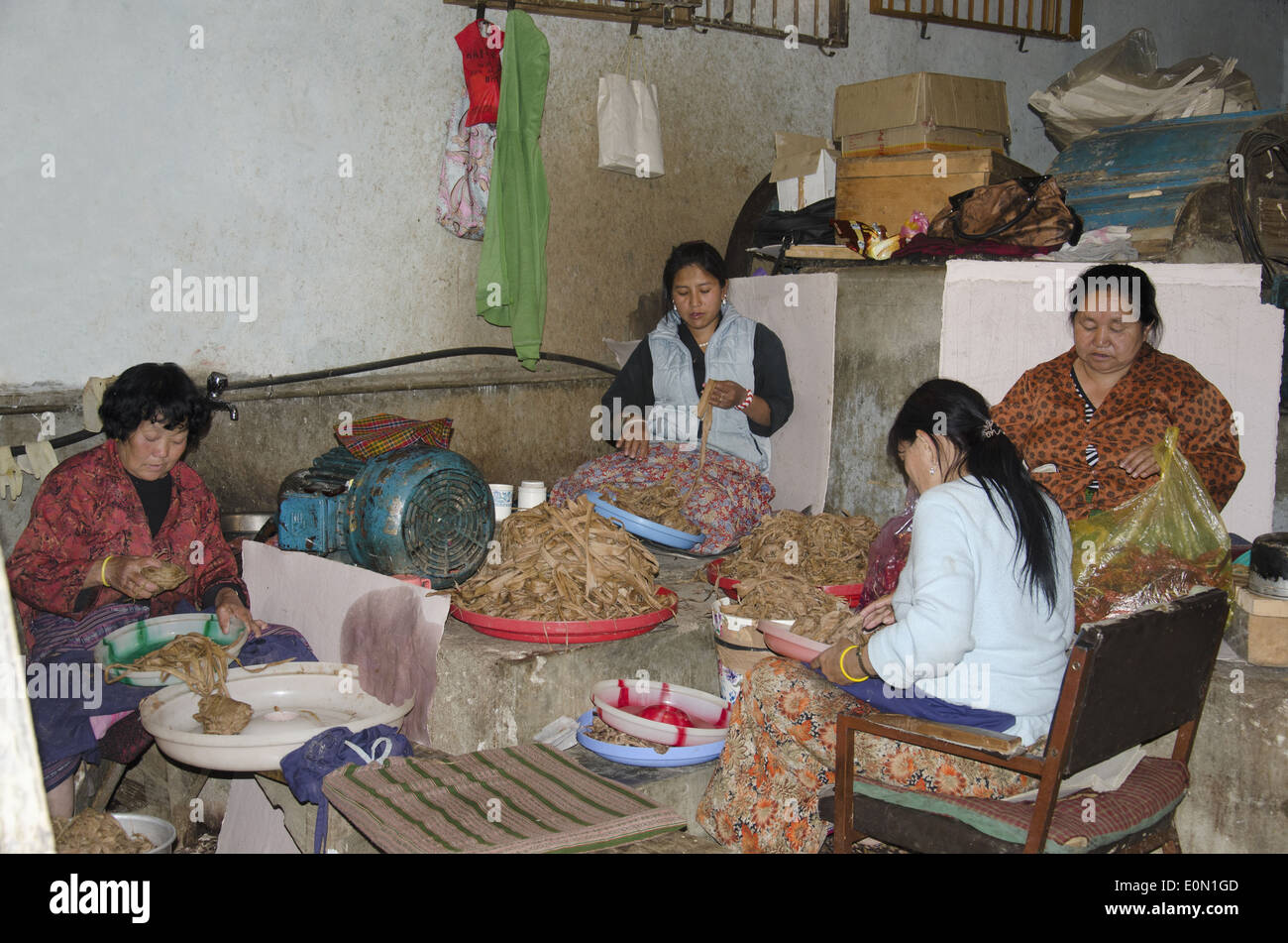 Women in the factory workplace hi-res stock photography and images - Alamy