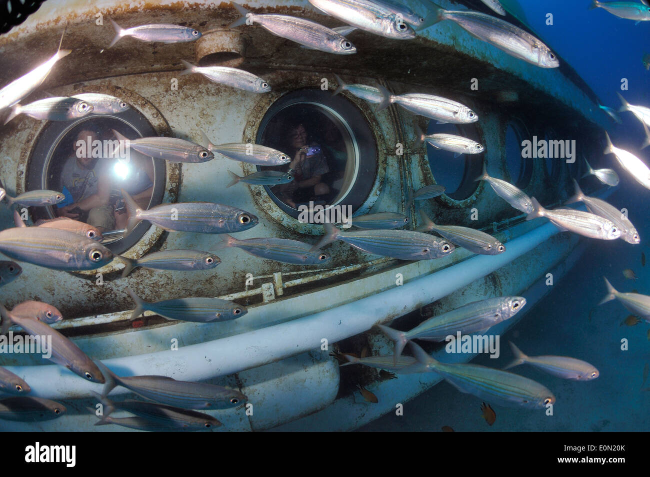 Tourists on Submarine Safaris' yellow sub underwater looking out of ...