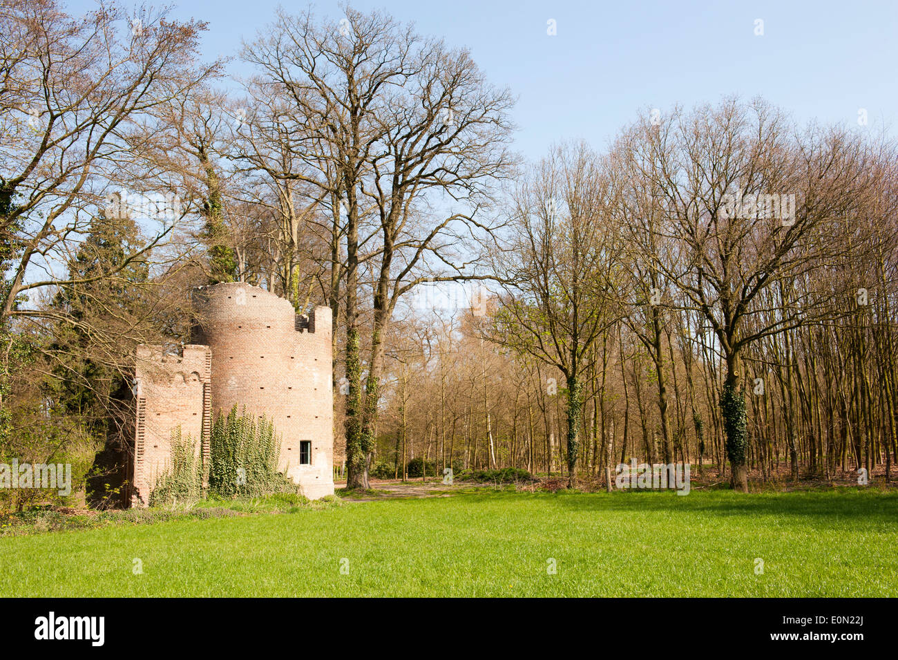 Medieval forest hi-res stock photography and images - Alamy