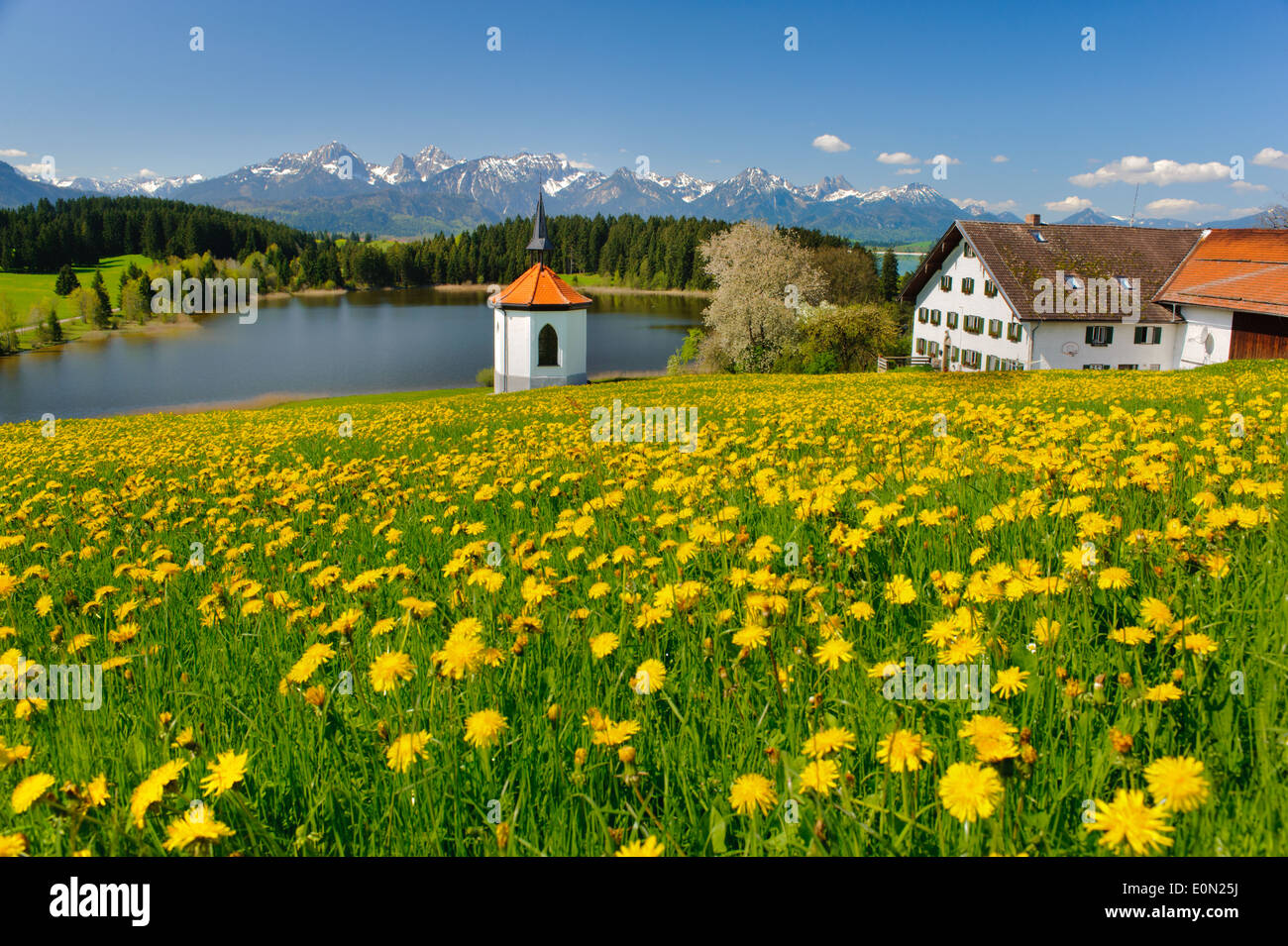 Rural chapel in bavaria hi-res stock photography and images - Alamy