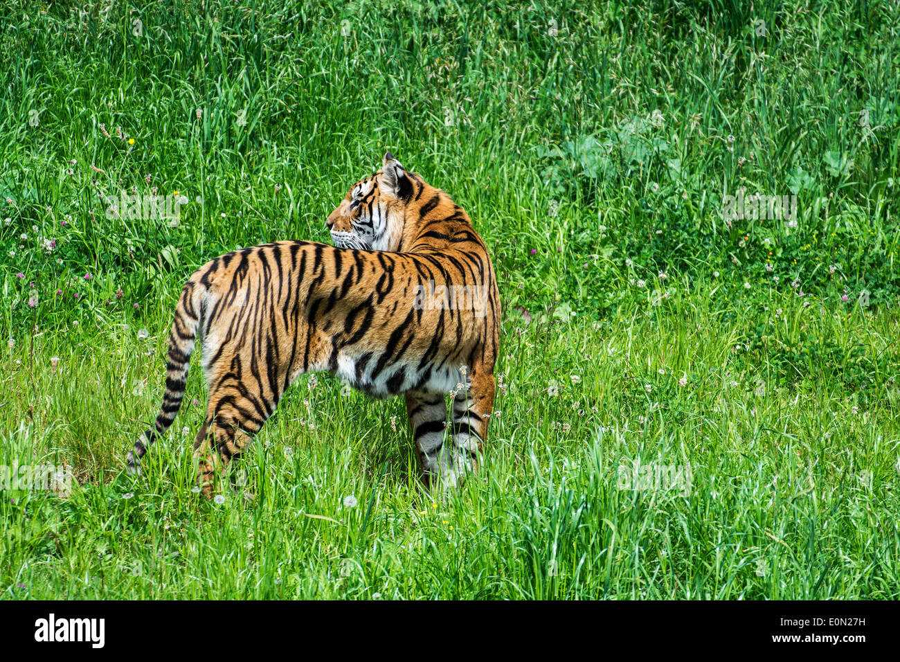 Backwards hi-res stock photography and images - Alamy