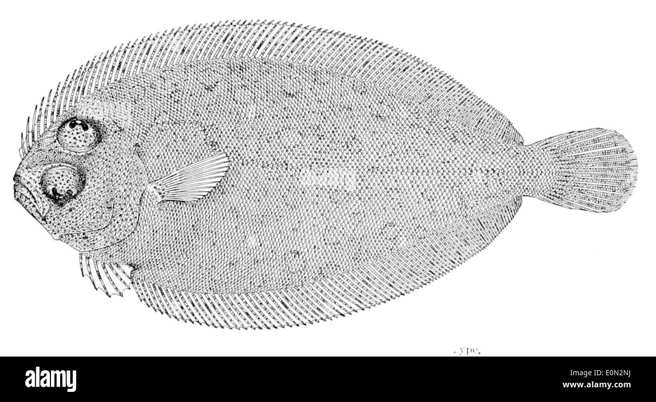 Round structure Black and White Stock Photos & Images - Alamy