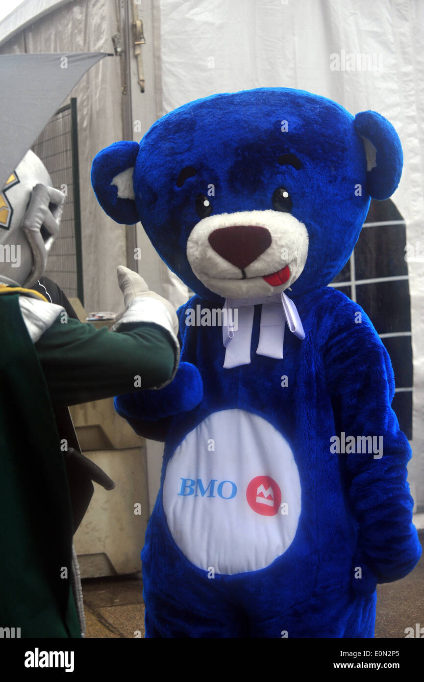 The Blue BMO bear Stock Photo - Alamy
