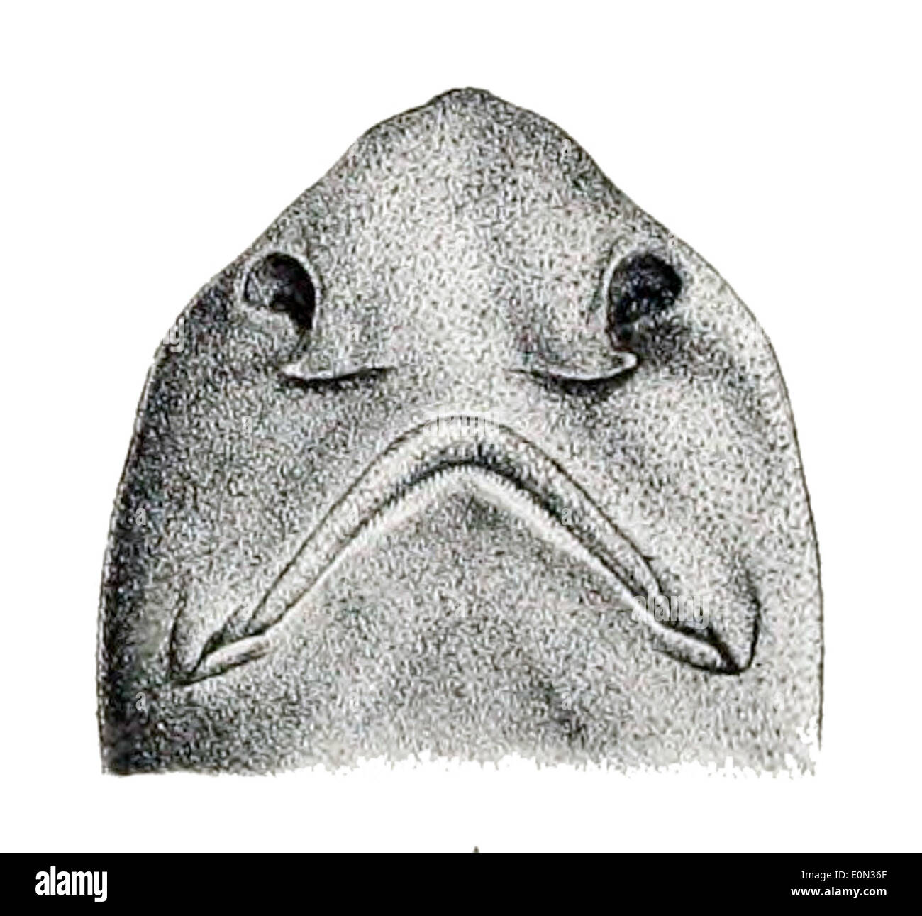 00 00 Cut Out Stock Images & Pictures - Alamy