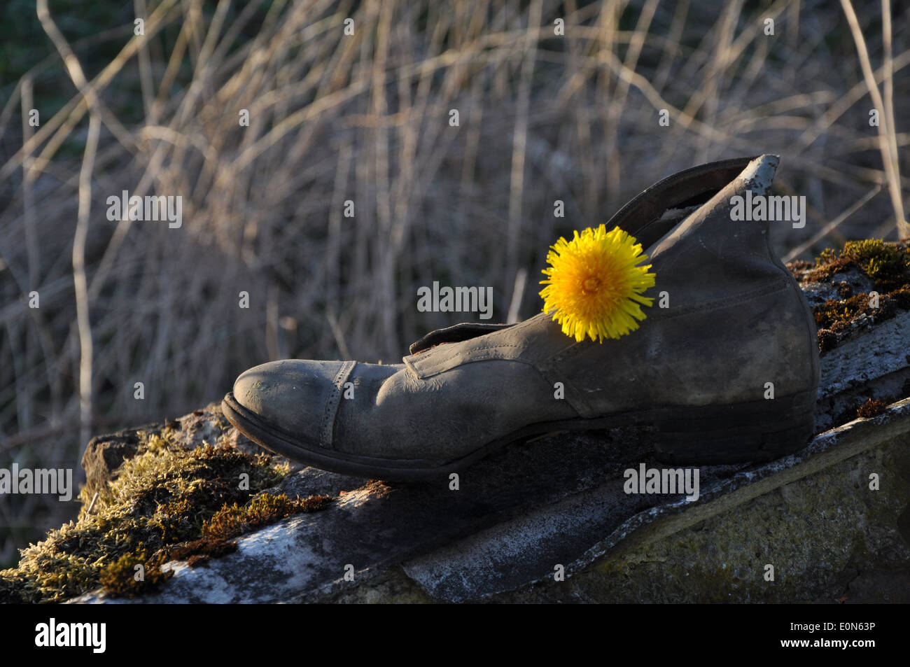 Something new and something old Stock Photo - Alamy