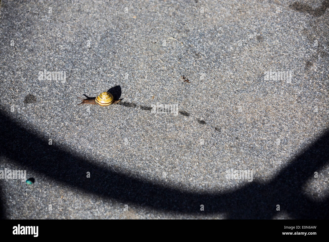 Snail trail hi-res stock photography and images - Alamy