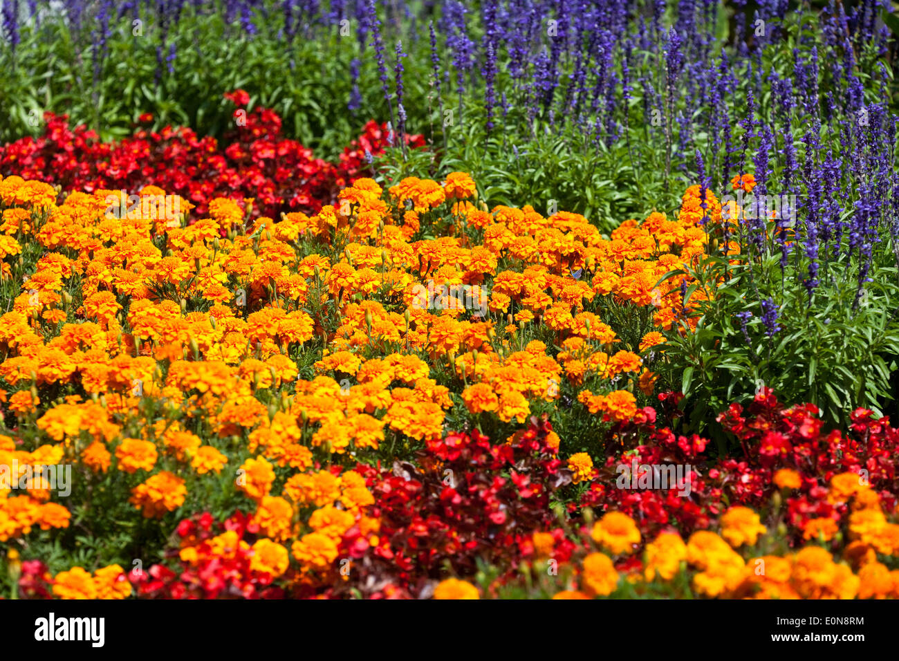Blumengarten hi-res stock photography and images - Alamy