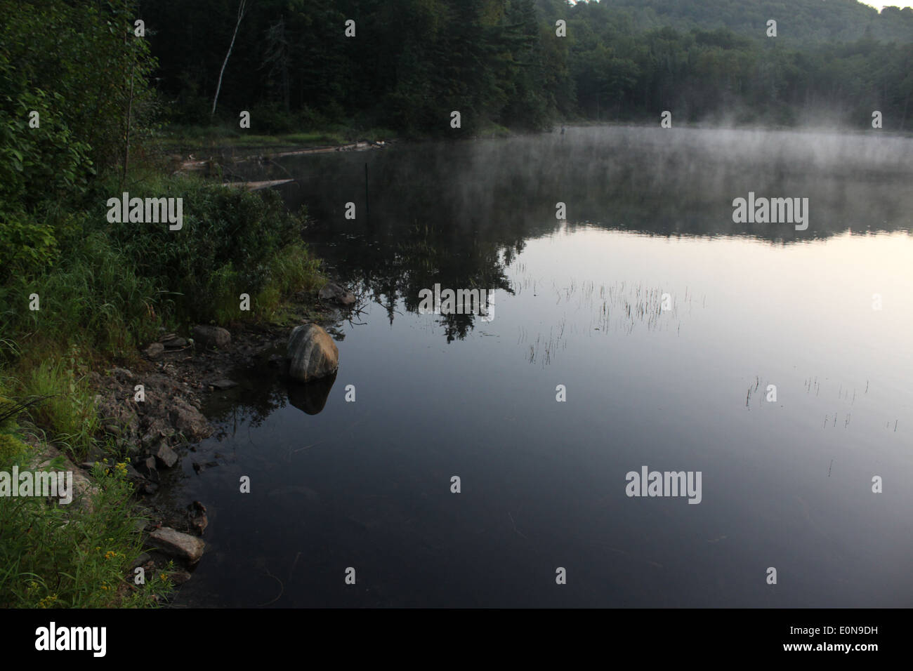 Small lake on misty morning in cottage country in Quebec, Canada Stock ...