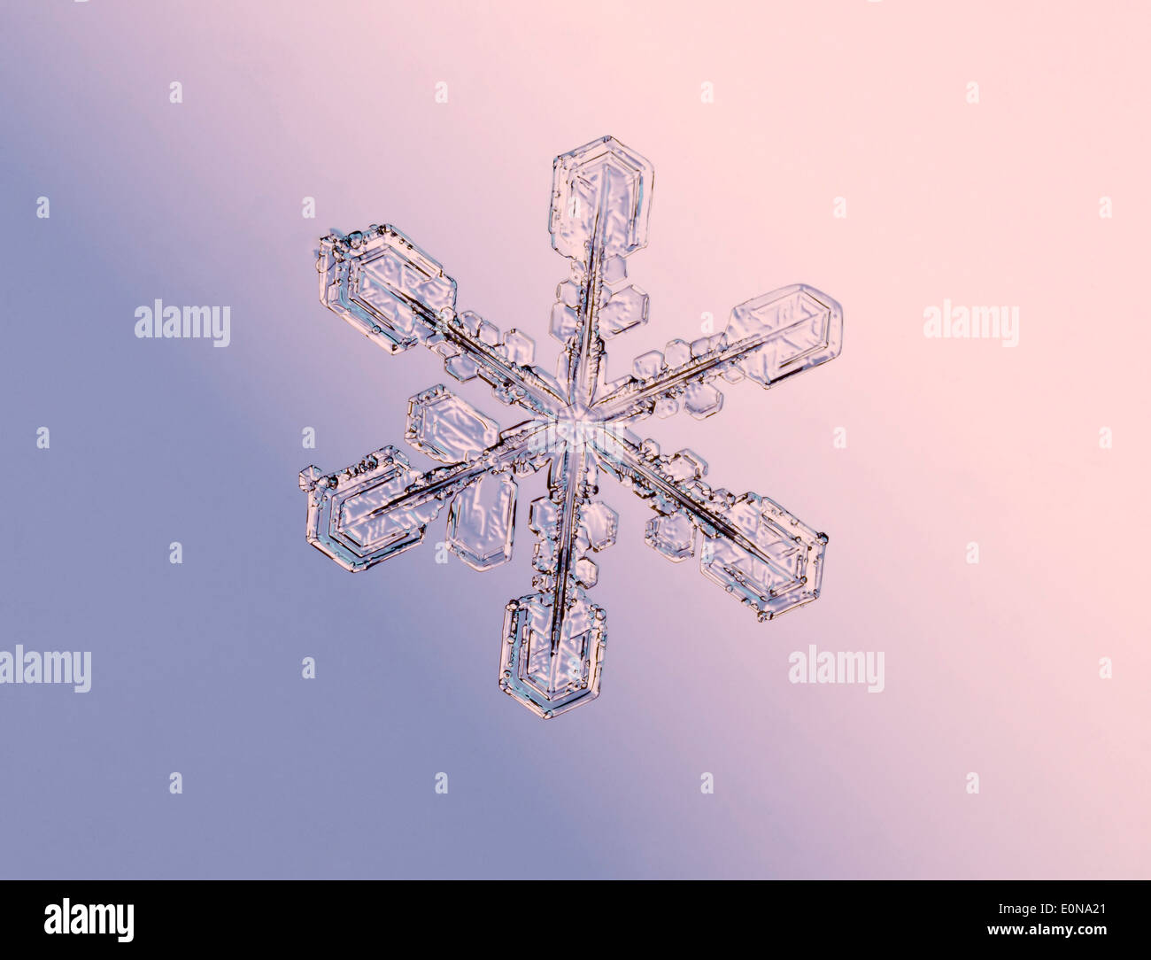 Snowflake microscope hi-res stock photography and images - Alamy