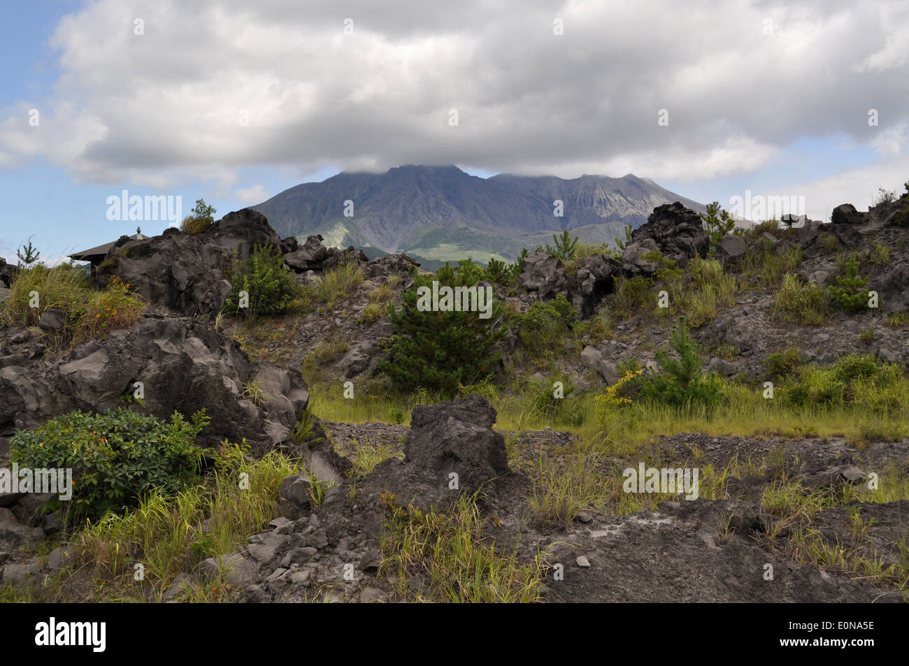 Sakurajima island hi-res stock photography and images - Alamy