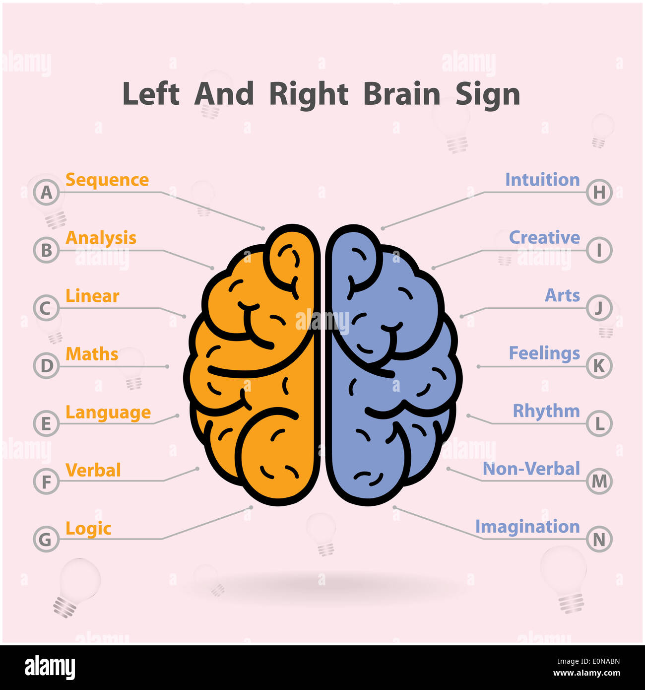 Left And Right Brain Diagram