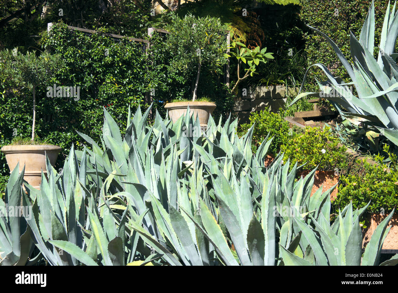 Well maintained gardens hi-res stock photography and images - Alamy