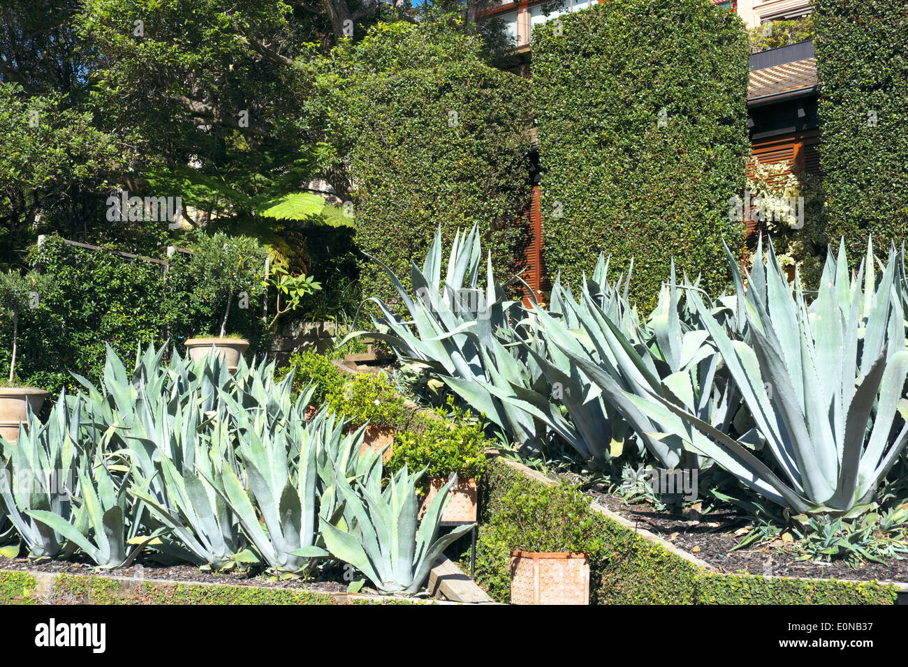 Well maintained garden hi-res stock photography and images - Alamy