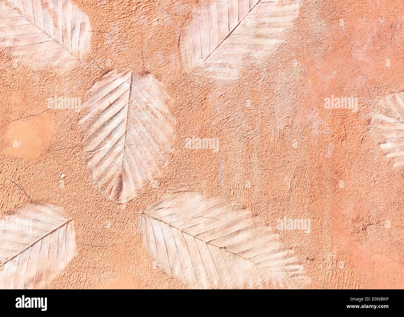 marks of leaf on the concrete pavement Stock Photo - Alamy