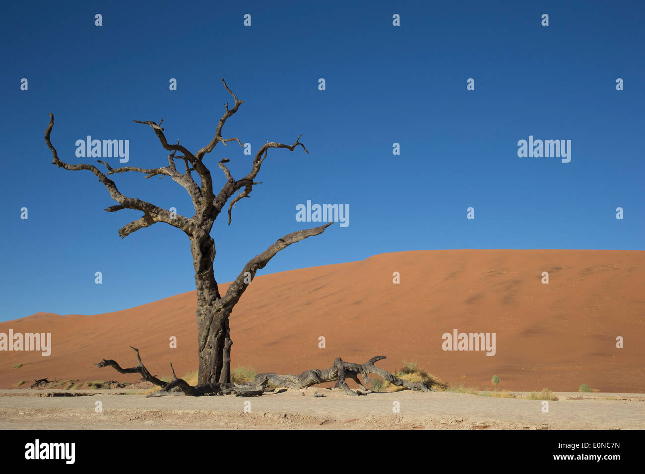 Clay africa hi-res stock photography and images - Alamy