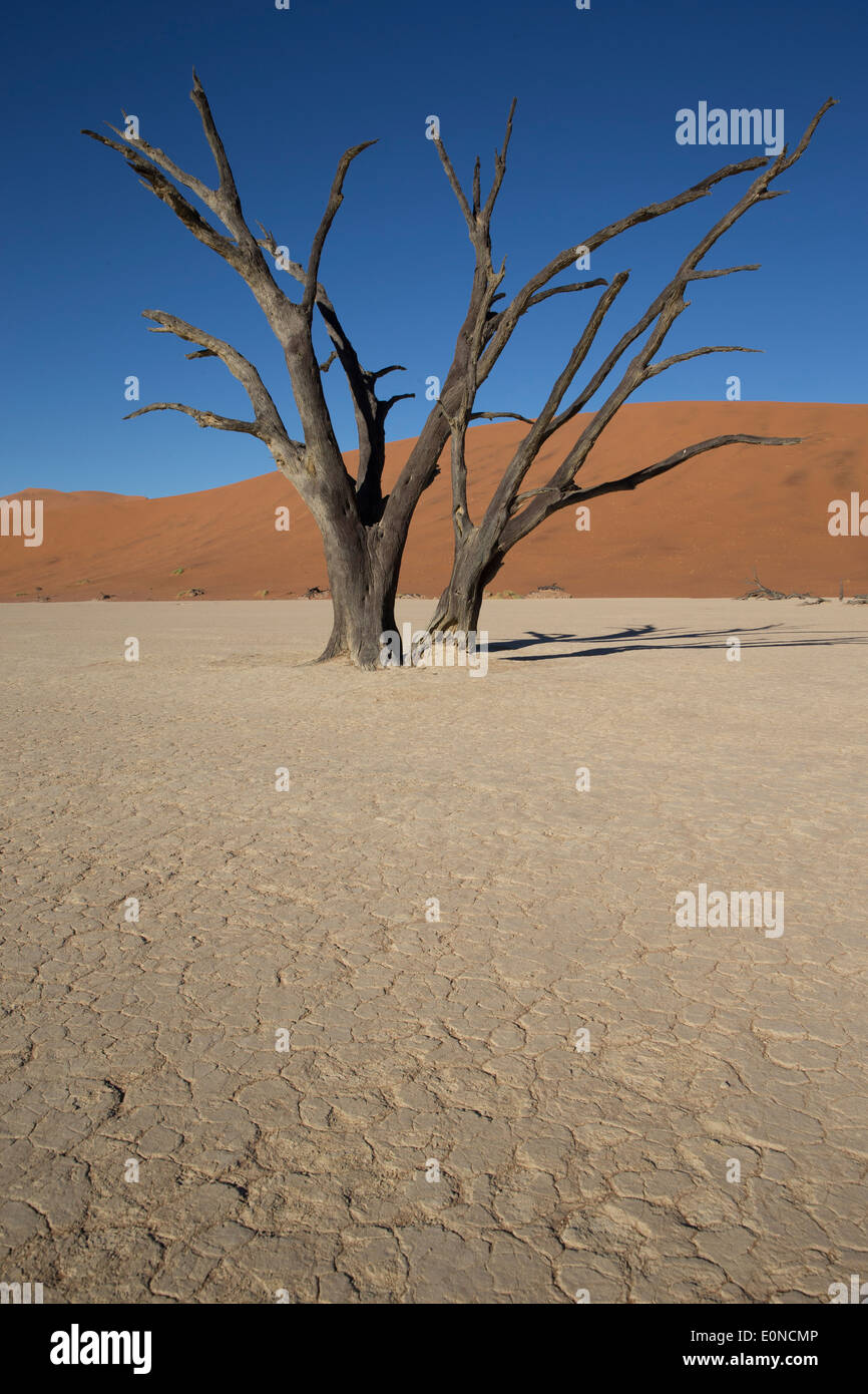 Clay africa hi-res stock photography and images - Alamy