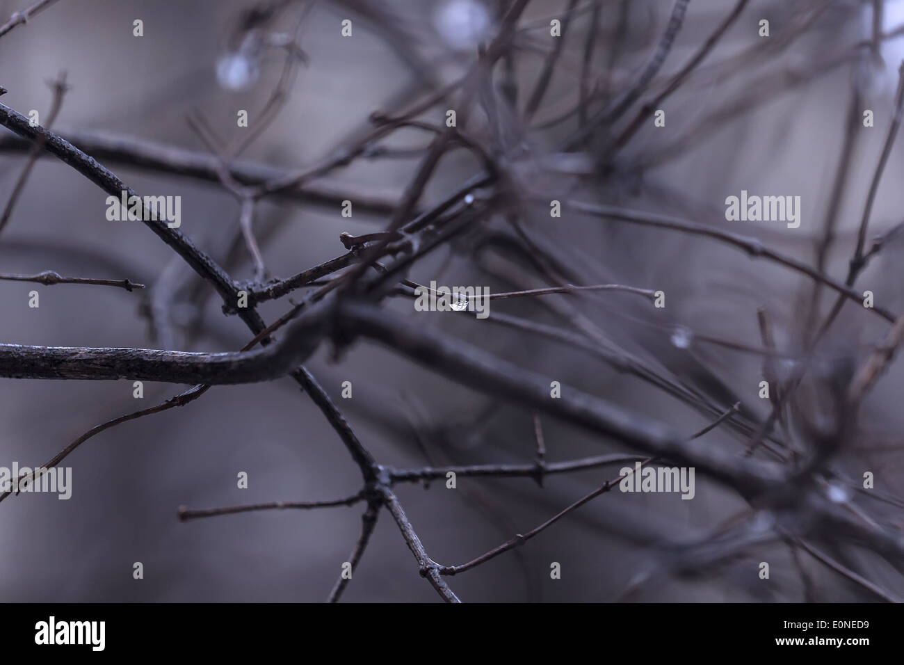 Nice try hi-res stock photography and images - Alamy