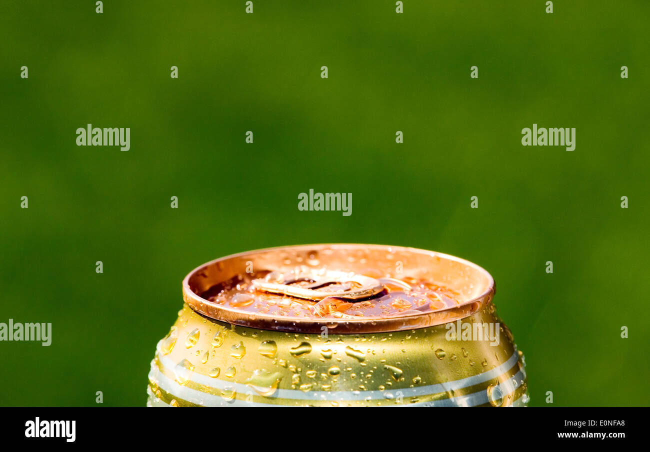 Metal beer can, unopened, alcohol and drink theme Stock Photo - Alamy