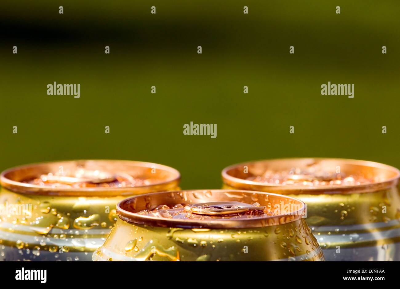 Metal beer can, unopened, alcohol and drink theme Stock Photo - Alamy