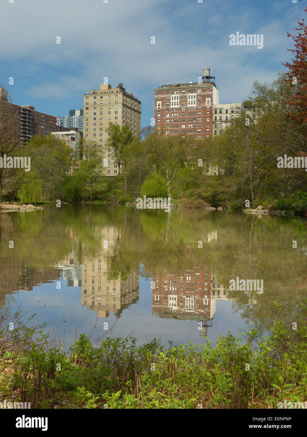 Central Park, New York - The pool Stock Photo - Alamy