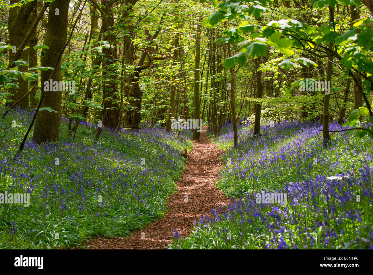 Worfield shropshire hi-res stock photography and images - Alamy